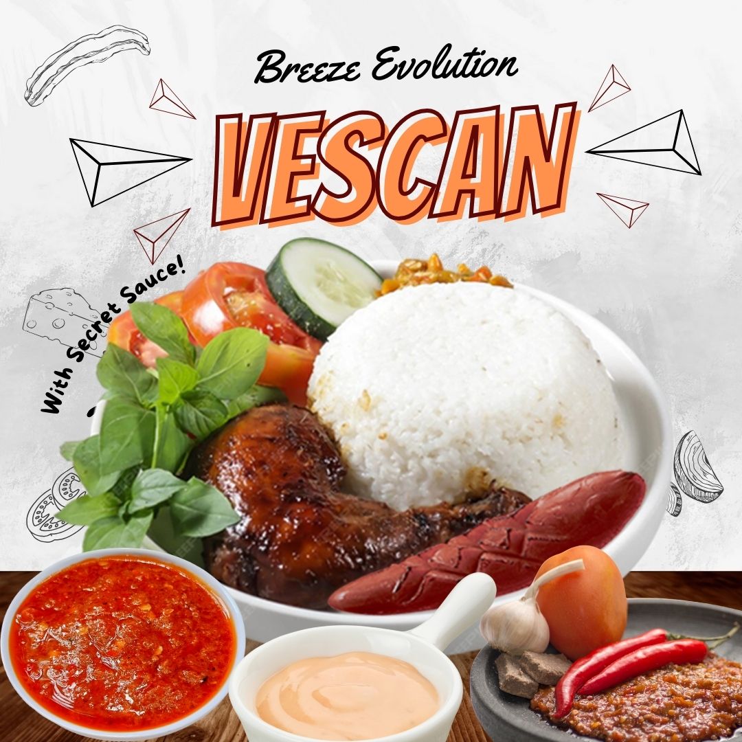 VESCAN EVO PACKAGE
